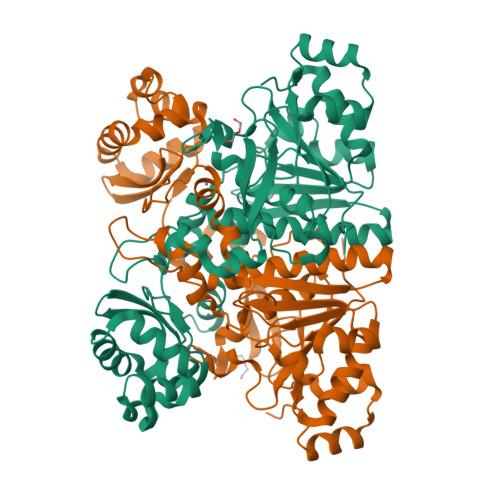 RCSB PDB - 10UI: Crystal structure of Formyl-coenzyme A transferase ...