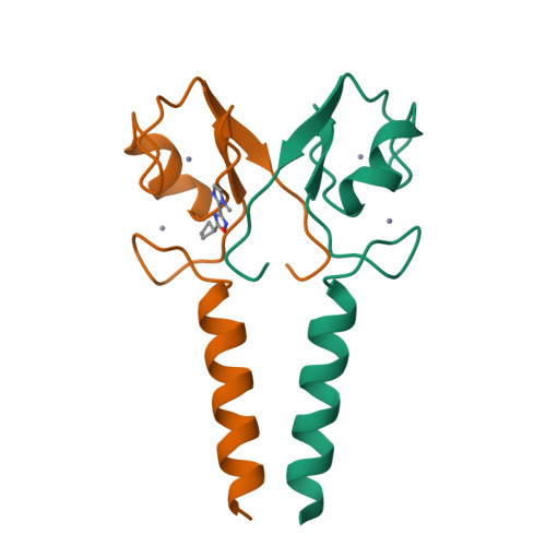 RCSB PDB - 13SF: PanDDA analysis group deposition -- IDOL RING domain in complex with Z1685106505