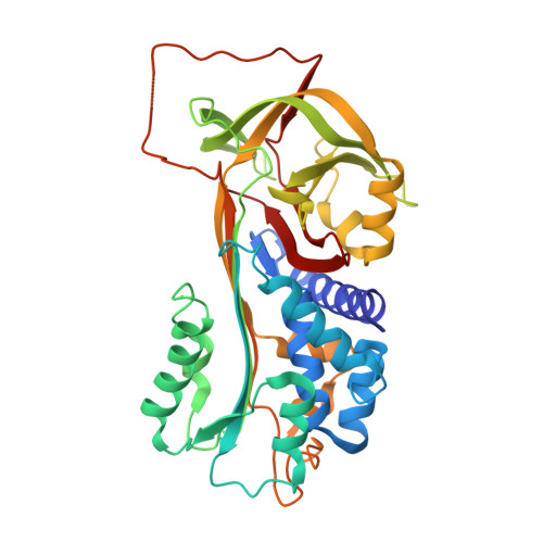 RCSB PDB - 1DVM: ACTIVE FORM OF HUMAN PAI-1