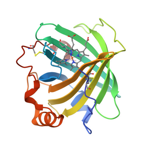 RCSB PDB - 1EUO: Crystal structure of nitrophorin 2 (prolixin-S)