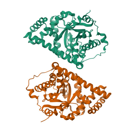 RCSB PDB - 1F05: CRYSTAL STRUCTURE OF HUMAN TRANSALDOLASE