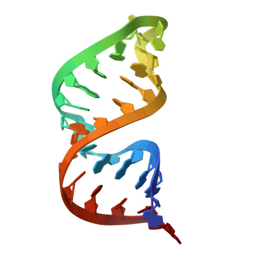 RCSB PDB - 1F6Z: SOLUTION STRUCTURE OF THE RNASE P RNA (M1 RNA) P4 STEM ...