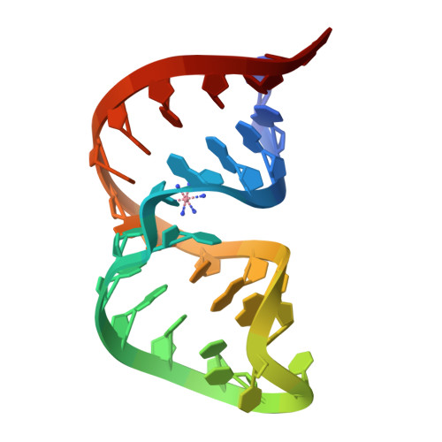 RCSB PDB - 1F79: SOLUTION STRUCTURE OF RNASE P RNA (M1 RNA) P4 STEM ...