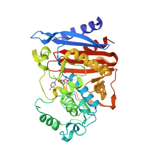 RCSB PDB - 1FCO: CRYSTAL STRUCTURE OF THE E. COLI AMPC BETA-LACTAMASE ...