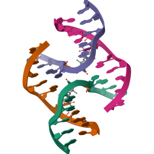 RCSB PDB - 1FHY: PSORALEN CROSS-LINKED D(CCGCTAGCGG) FORMS HOLLIDAY ...