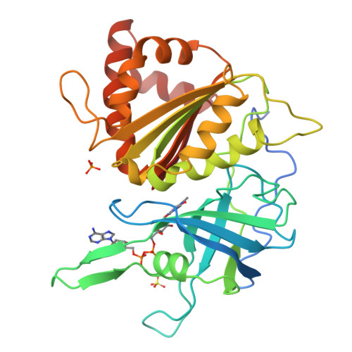 RCSB PDB - 1FNB: REFINED CRYSTAL STRUCTURE OF SPINACH FERREDOXIN ...