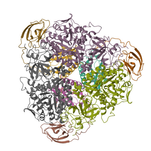 RCSB PDB - 1FWJ: KLEBSIELLA AEROGENES UREASE, NATIVE