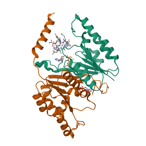 RCSB PDB - 1G64: THE THREE-DIMENSIONAL STRUCTURE OF ATP:CORRINOID ...