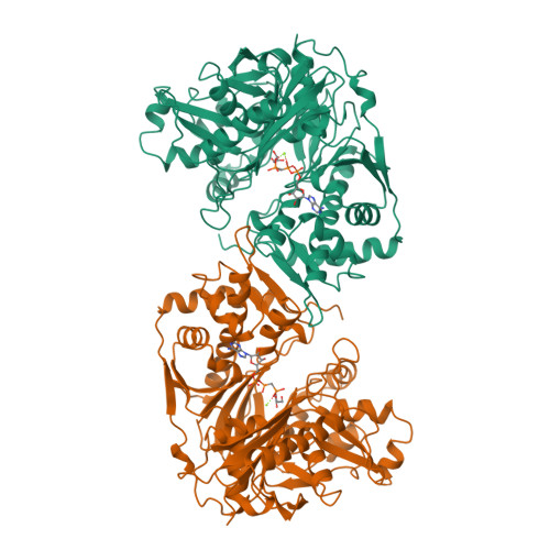 RCSB PDB - 1GLL: ESCHERICHIA COLI GLYCEROL KINASE MUTANT WITH BOUND ATP ...
