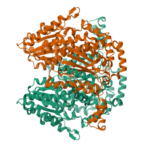 RCSB PDB - 1GZD: Crystal structure of pig phosphoglucose isomerase