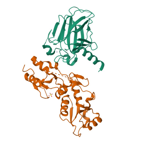 RCSB PDB - 1GZH: Crystal structure of the BRCT domains of human 53BP1 bound to the p53 tumor ...
