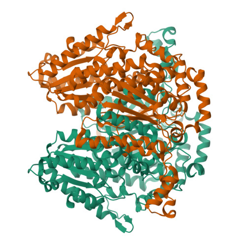 RCSB PDB - 1GZV: The crystal structure of phosphoglucose isomerase from ...