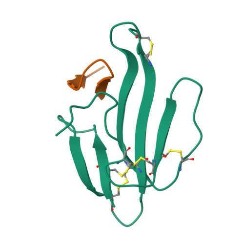 RCSB PDB - 1HAA: A beta-Hairpin Structure in a 13-mer Peptide that ...