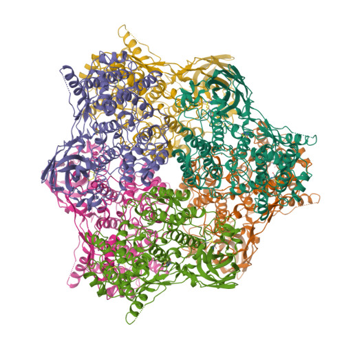 RCSB PDB - 1HC1: CRYSTAL STRUCTURE OF HEXAMERIC HAEMOCYANIN FROM ...