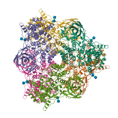 RCSB PDB - 1HCY: CRYSTAL STRUCTURE OF HEXAMERIC HAEMOCYANIN FROM ...