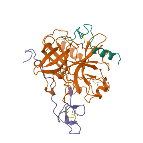 RCSB PDB - 1HRT: THE STRUCTURE OF A COMPLEX OF BOVINE ALPHA-THROMBIN ...