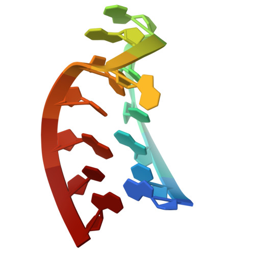 RCSB PDB - 1HS4: SOLUTION STRUCTURE OF RNA HAIRPIN LOOP UUAAAU AS PART ...