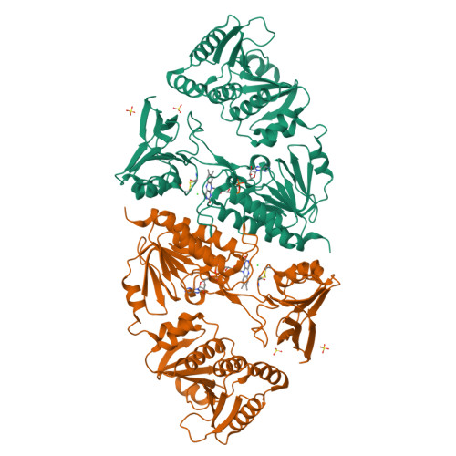 RCSB PDB - 1HYU: CRYSTAL STRUCTURE OF INTACT AHPF