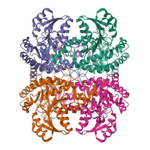 RCSB PDB - 1I41: CYSTATHIONINE GAMMA-SYNTHASE IN COMPLEX WITH THE ...
