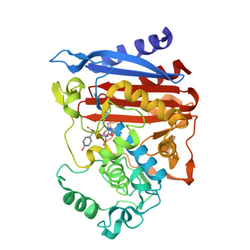 RCSB PDB - 1I5Q: CRYSTAL STRUCTURE OF THE E. COLI AMPC BETA-LACTAMASE ...