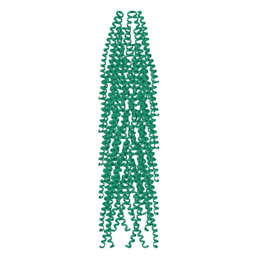 RCSB PDB - 1IFD: MODEL-BUILDING STUDIES OF INOVIRUS: GENETIC VARIATIONS ...