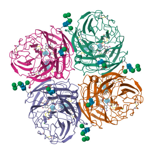 RCSB PDB - 1IVD: STRUCTURES OF AROMATIC INHIBITORS OF INFLUENZA VIRUS ...