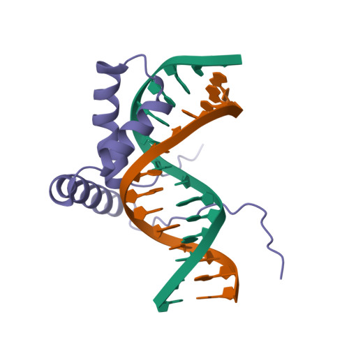 Rcsb Pdb 1j46 3d Solution Nmr Structure Of The Wild Type Hmg Box