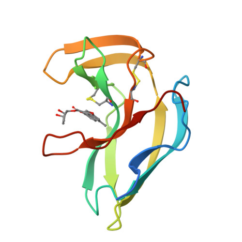 RCSB PDB - 1J5I: Solution Structure of a Novel Chromoprotein Derived ...