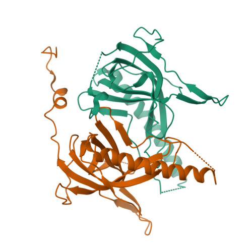 RCSB PDB - 1JE5: Crystal Structure of gp2.5, a Single-Stranded DNA ...