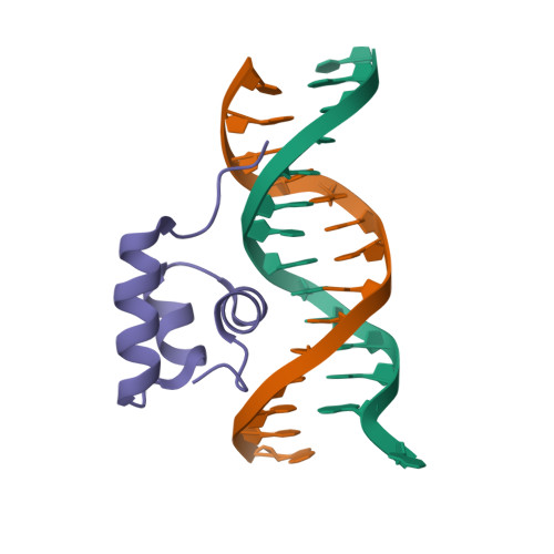 RCSB PDB - 1JKP: Testing the Water-Mediated HIN Recombinase DNA ...