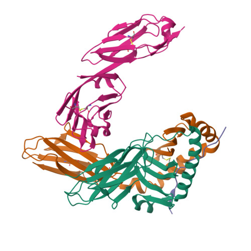 RCSB PDB - 1JL4: CRYSTAL STRUCTURE OF THE HUMAN CD4 N-TERMINAL TWO ...