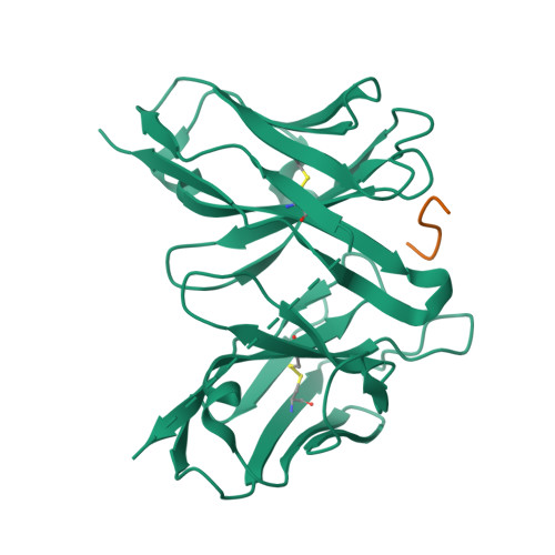 RCSB PDB - 1JP5: Crystal structure of the single-chain Fv fragment 1696 ...
