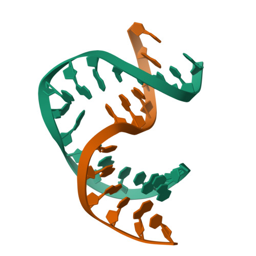 RCSB PDB - 1JS5: Solution Structure of dAAUAA DNA Bulge