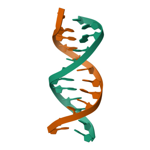 RCSB PDB - 1JUU: NMR Structure of a Parallel Stranded DNA Duplex at ...