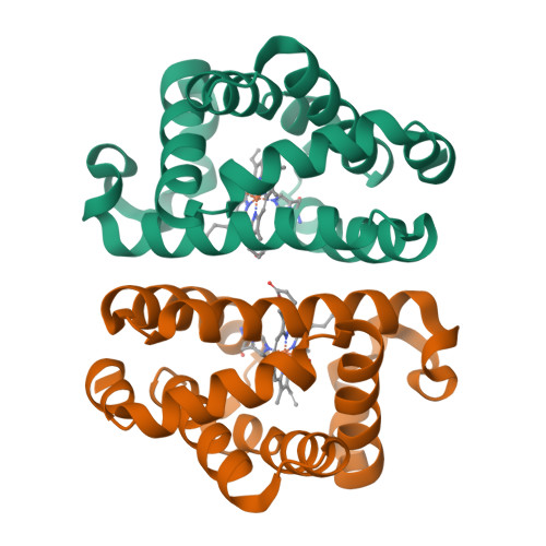 RCSB PDB - 1JWN: Crystal Structure of Scapharca inaequivalvis HbI ...