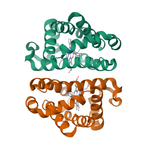 RCSB PDB - 1JZL: Crystal structure of Sapharca inaequivalvis HbI, I114M ...