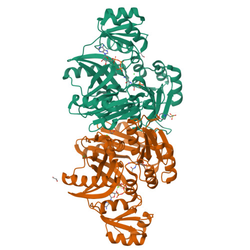 RCSB PDB - 1KJ8: Crystal Structure of PurT-Encoded Glycinamide ...