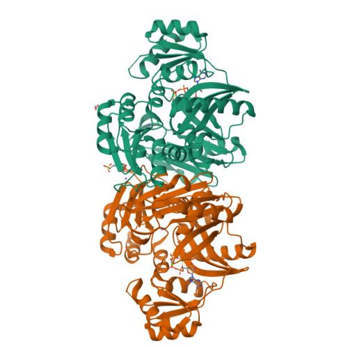 RCSB PDB - 1KJI: Crystal structure of glycinamide ribonucleotide ...
