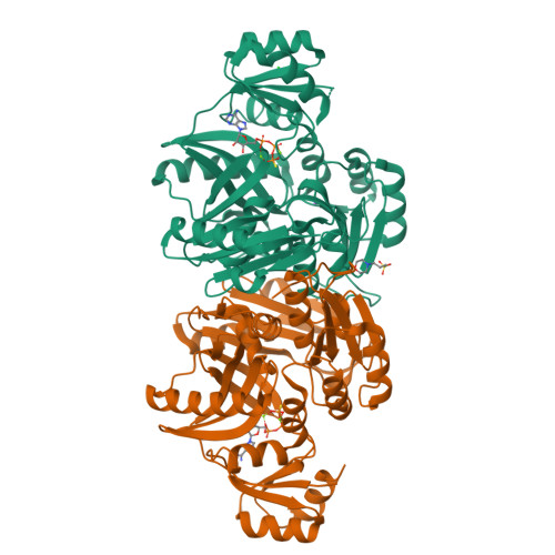 RCSB PDB - 1KJJ: Crystal structure of glycniamide ribonucleotide ...