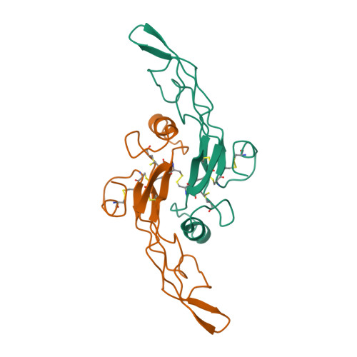 RCSB PDB - 1KLD: SOLUTION STRUCTURE OF TGF-B1, NMR, MODELS 18-33 OF 33 ...
