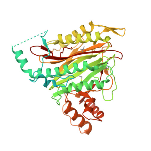 RCSB PDB - 1KQ0: Human methionine aminopeptidase type II in complex ...