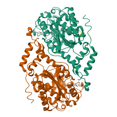 RCSB PDB - 1L4E: The crystal structure of CobT complexed with alpha ...