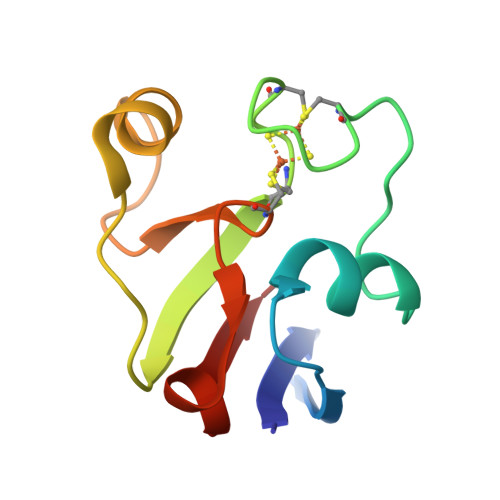 RCSB PDB - 1L5P: Crystal Structure of Trichomonas vaginalis Ferredoxin