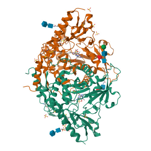 RCSB PDB - 1LK9: The Three-dimensional Structure of Alliinase from Garlic