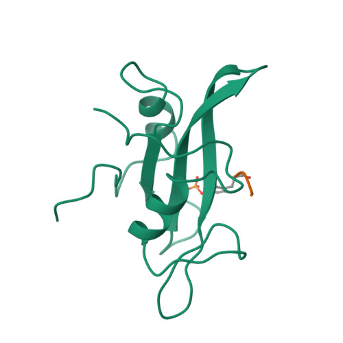 RCSB PDB - 1LKK: HUMAN P56-LCK TYROSINE KINASE SH2 DOMAIN IN COMPLEX ...