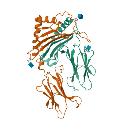 Polypeptide Molecule Structure