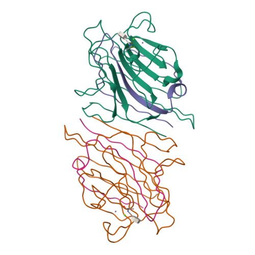 RCSB PDB - 1LOC: INTERACTION OF A LEGUME LECTIN WITH TWO COMPONENTS OF ...