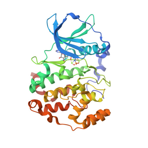 RCSB PDB - 1LP4: Crystal structure of a binary complex of the catalytic subunit of protein ...