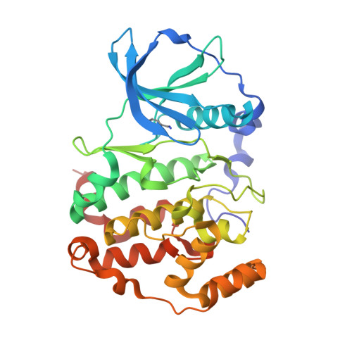 RCSB PDB - 1LR4: Room Temperature Crystal Structure of the Apo-form of the catalytic subunit of ...