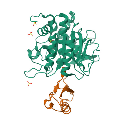 RCSB PDB - 1LW6: Crystal Structure of the Complex of Subtilisin BPN ...